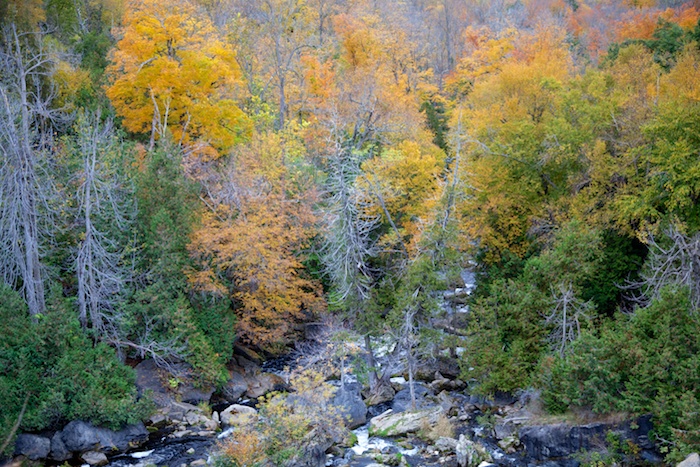 Four Season Yoga Cleanse – Detoxify with the cycles of nature